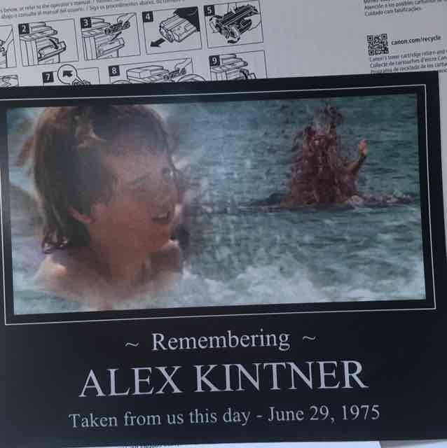 Cameo - Jeffrey Voorhees