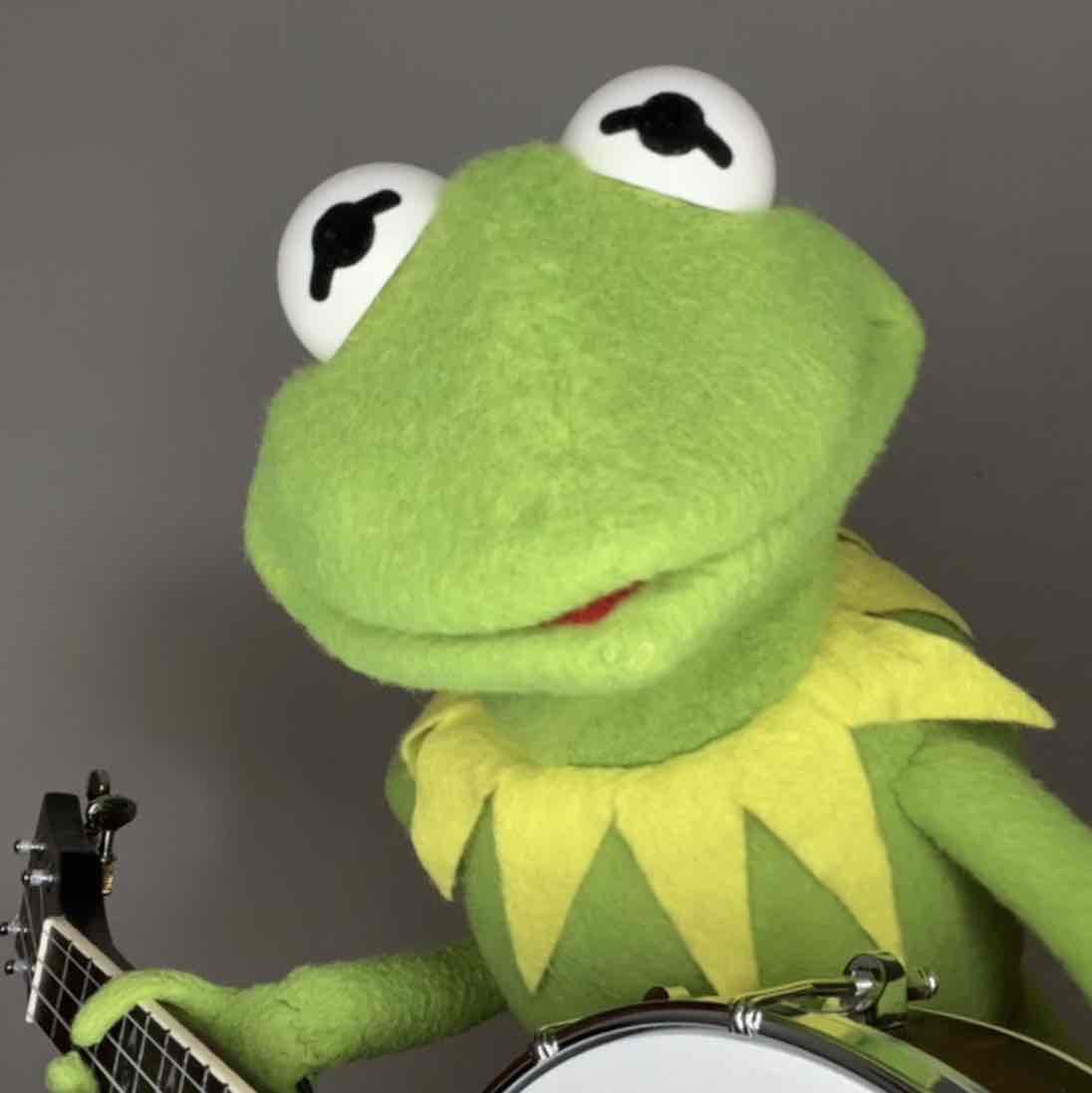 Cameo - Kermit the Tribute